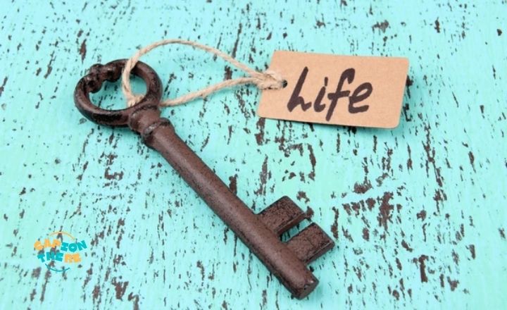 400+ Life Lately Captions For 2025